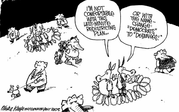 Redistricting Cartoon